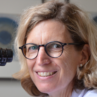 Gabriele Thumann, auteur sur Blog de nos experts